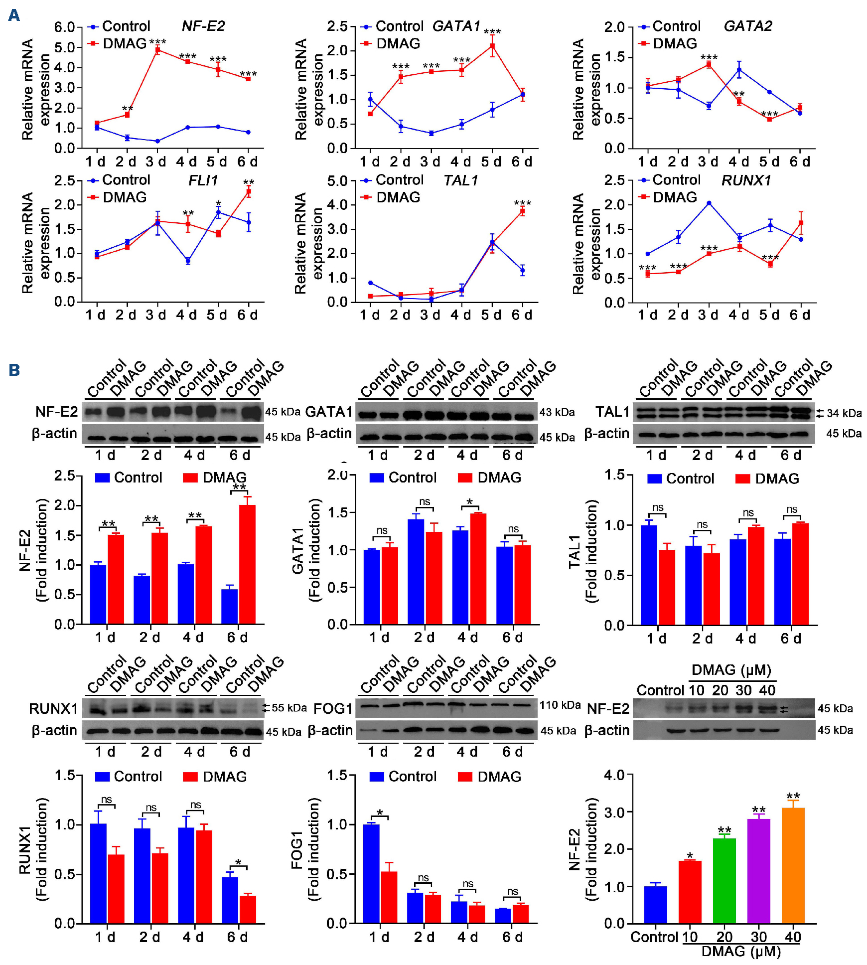Targeting a thrombopoietin-independent strategy in the discovery of a ...