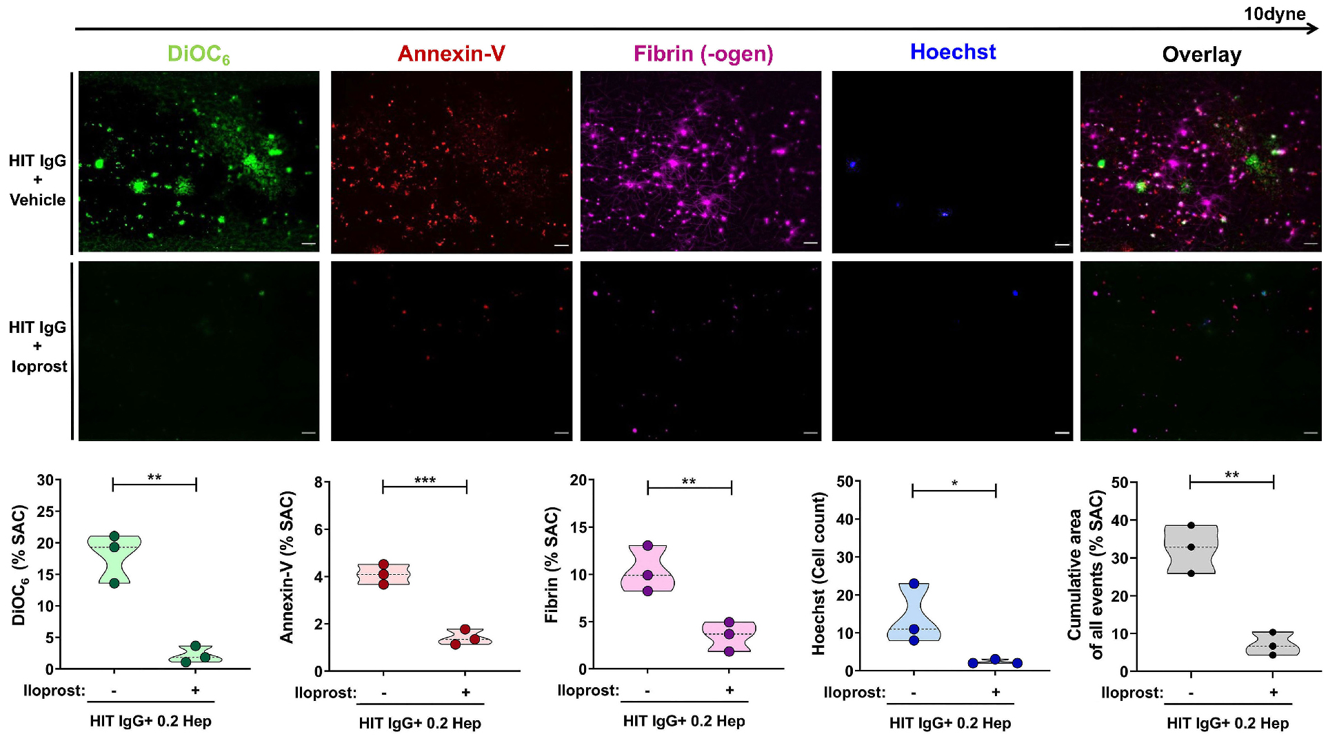 Platelet phosphatidylserine is the critical mediator of thrombosis in ...