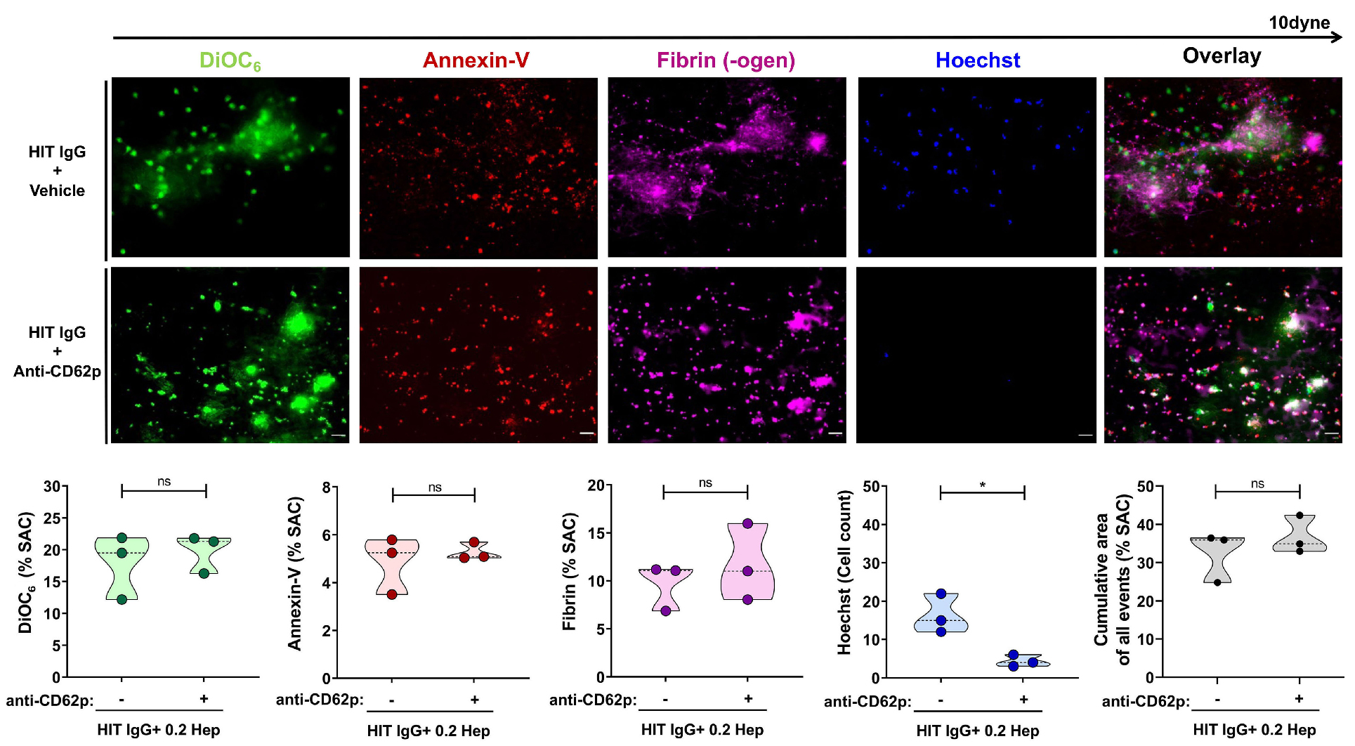 Platelet phosphatidylserine is the critical mediator of thrombosis in ...