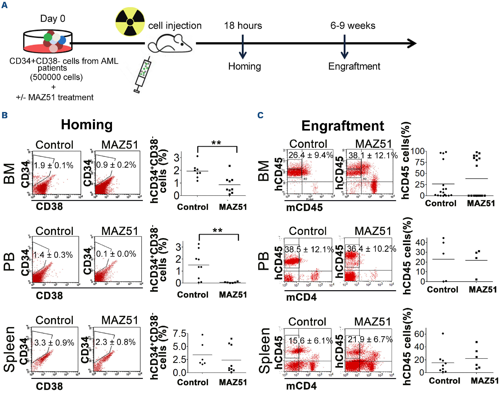 FLT4 as a marker for predicting prognostic risk of refractory acute ...