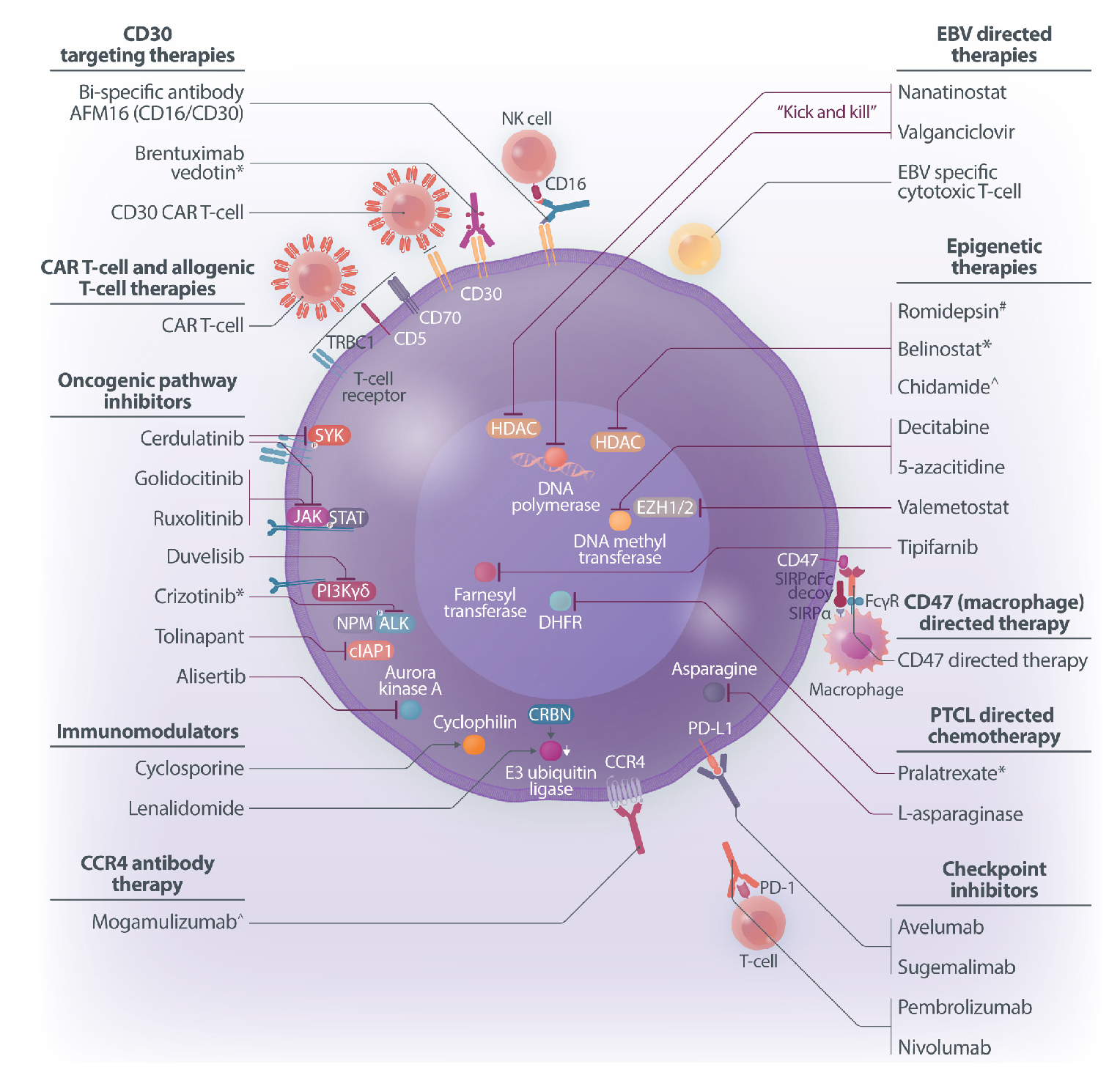 Introduction to the peripheral T-cell lymphoma review series: advances ...