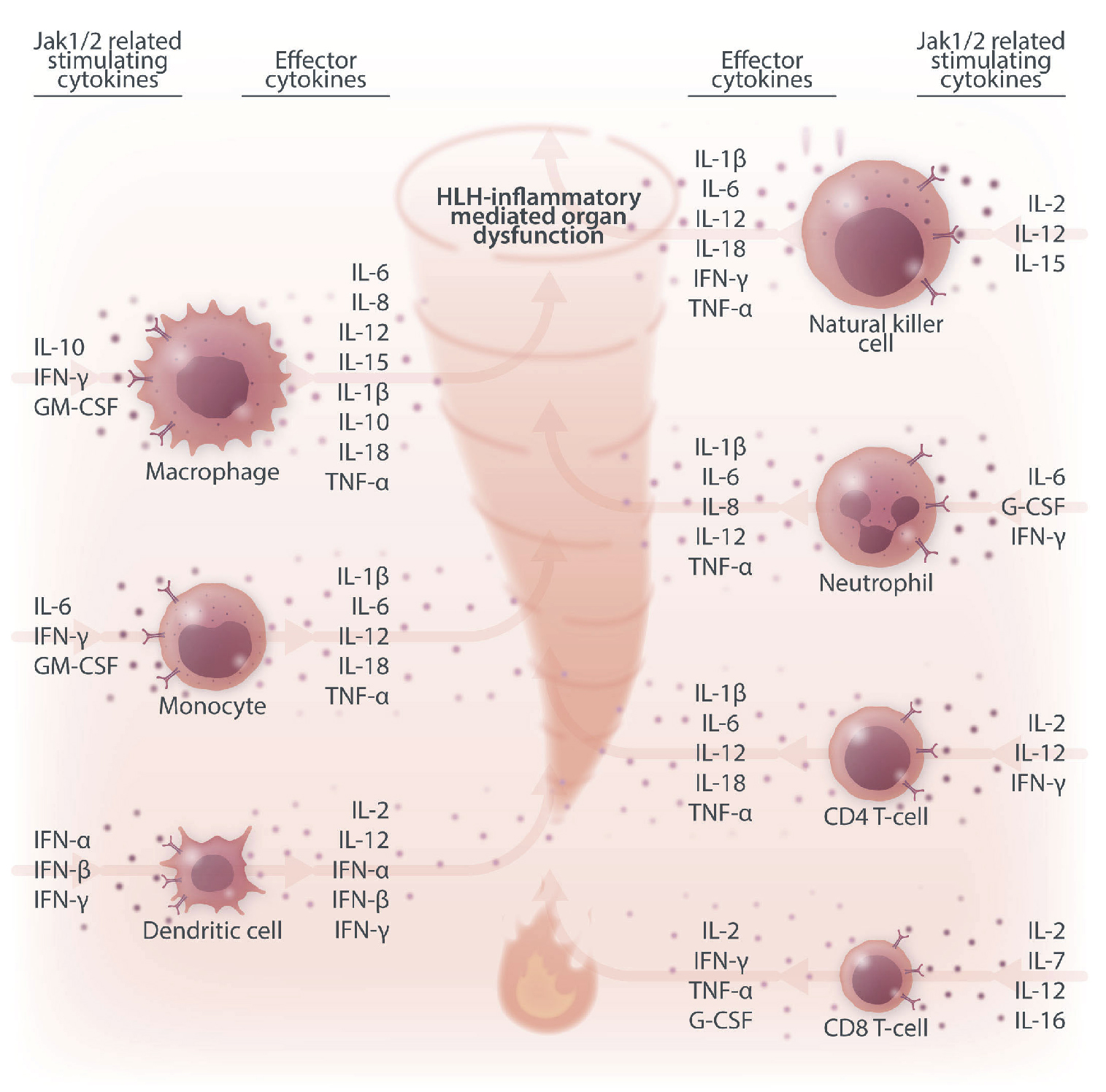 Expanding treatment options by selectively targeting the cytokine storm ...
