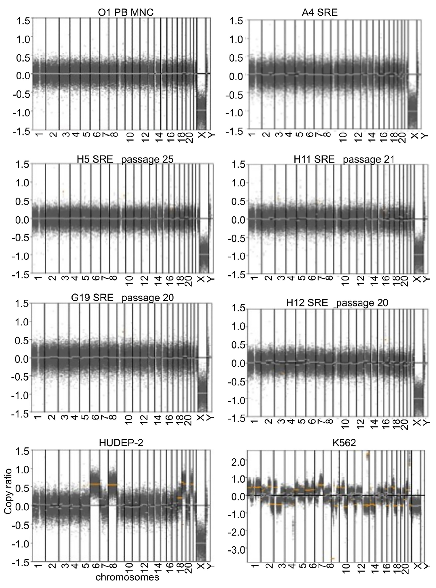 Stem cell factor and erythropoietin-independent production of cultured ...