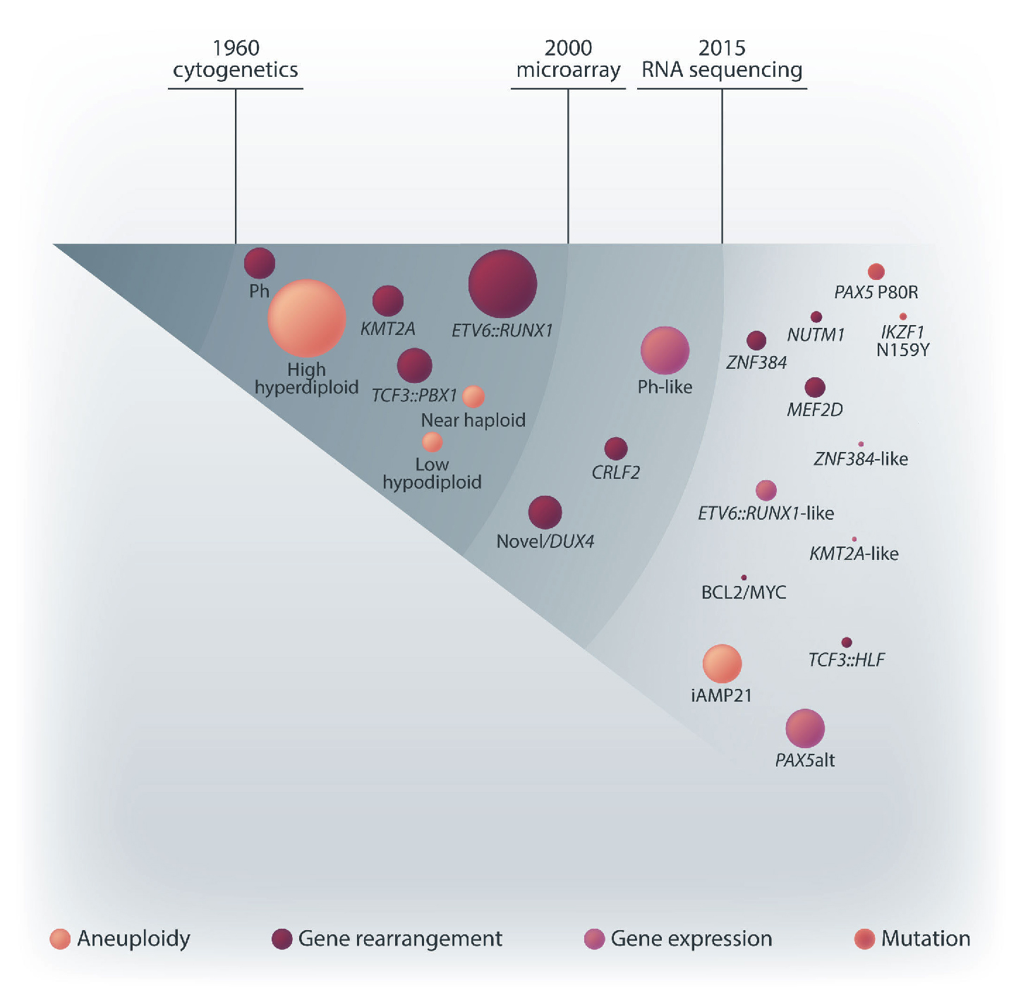 SEQ-ing the genetic constellation of acute lymphoblastic leukemia ...