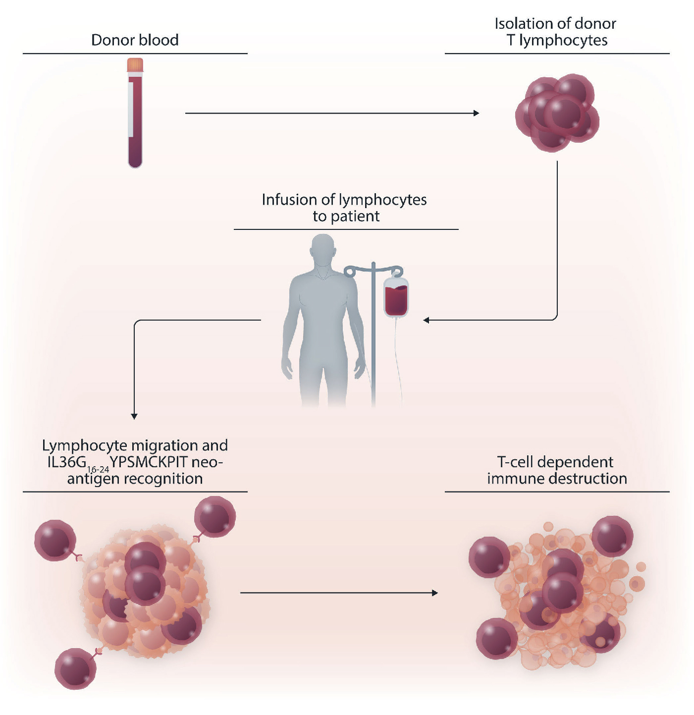 The clonal hydra: neoantigen-specific T-cell response in germ cell ...